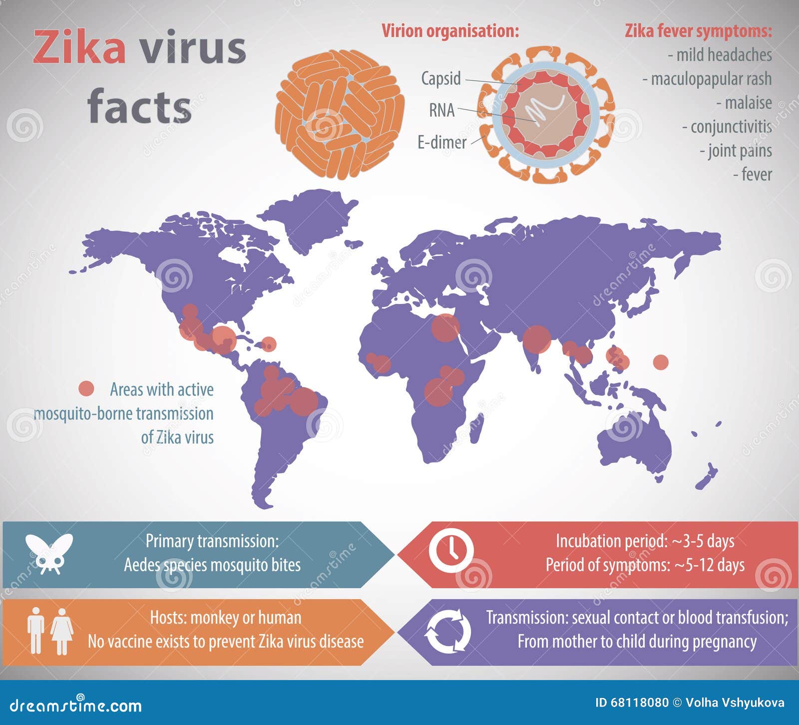 Zika virus infographic stock vector. Illustration of symptoms - 68118080