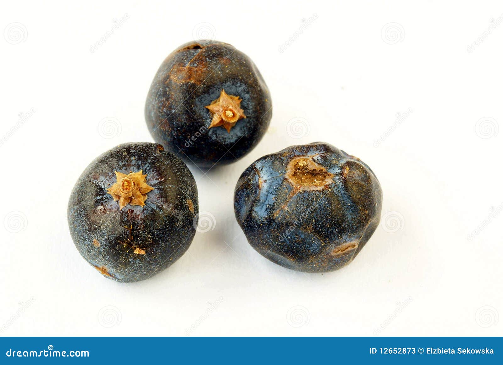 Zimbro imagem de stock. Imagem de azul, nave, zimbro - 12652873