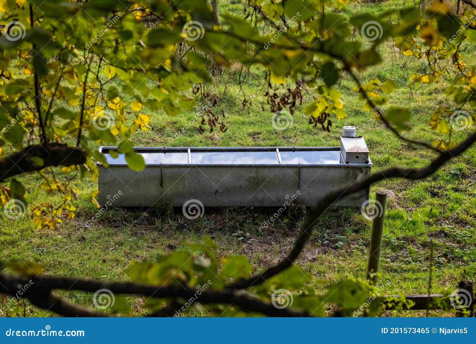Cattle Trough At Malga Campo Stock Image | CartoonDealer.com #102155167