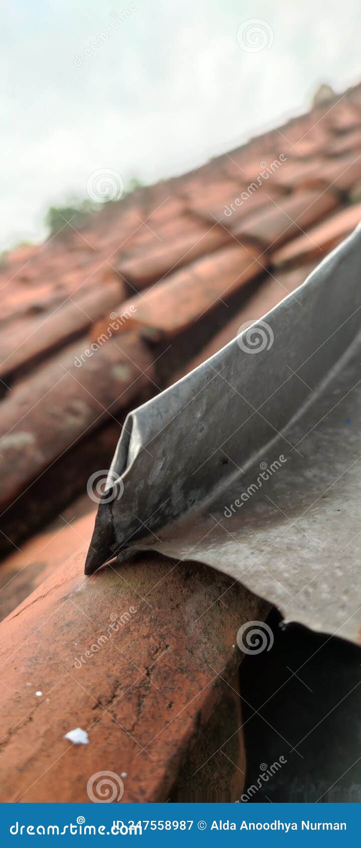 Zinc on tile for waterway stock image. Image of wood - 247558987