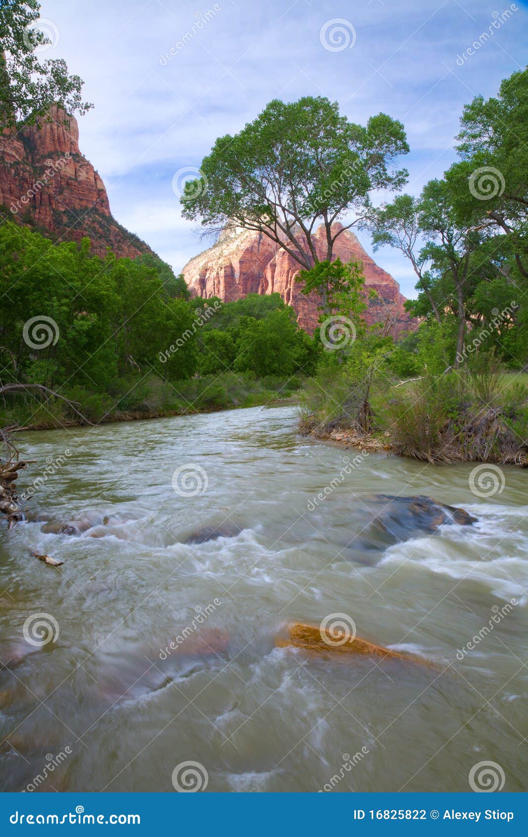 Zion stock photo. Image of stream, geological, america - 16825822