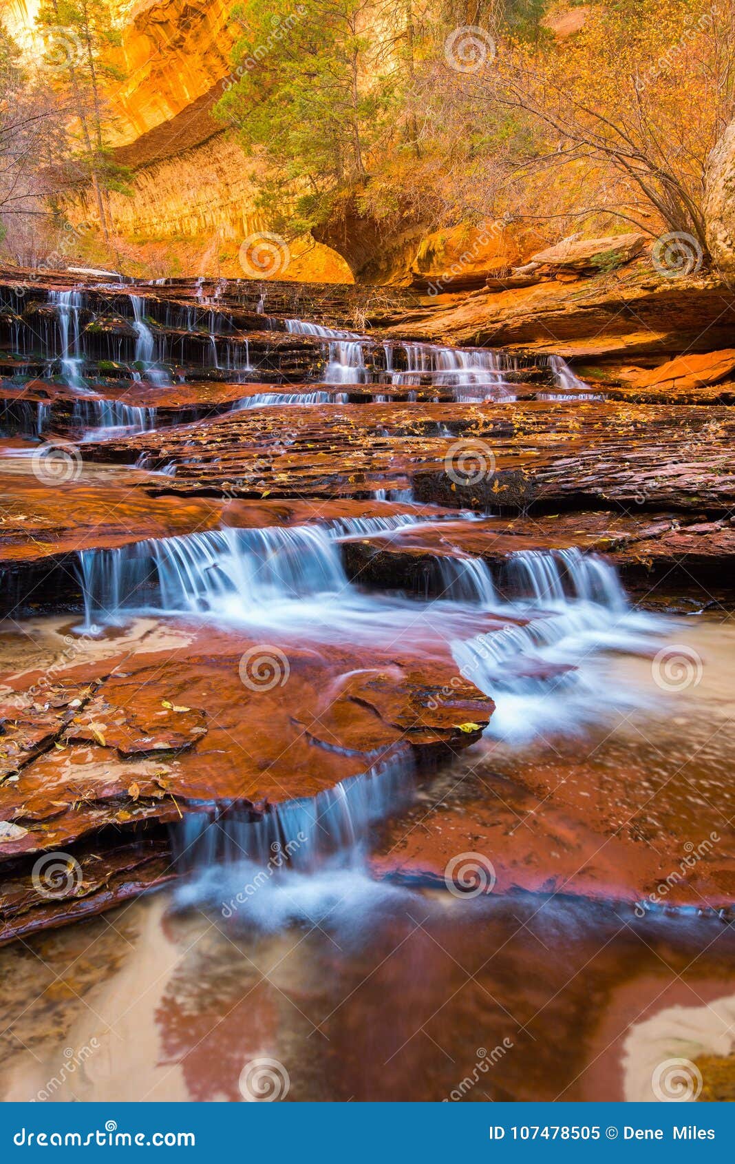 Zion meets fall stock image. Image of canyon, geology - 107478505
