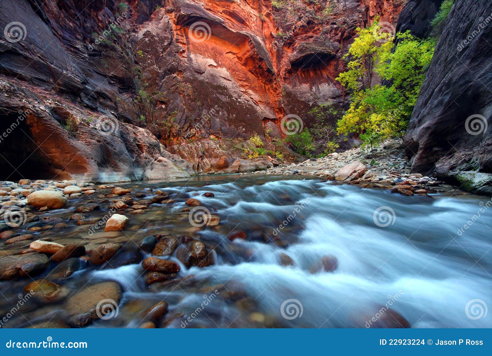 Zion Canyon Narrows stock photo. Image of beautiful, outdoors - 22923224