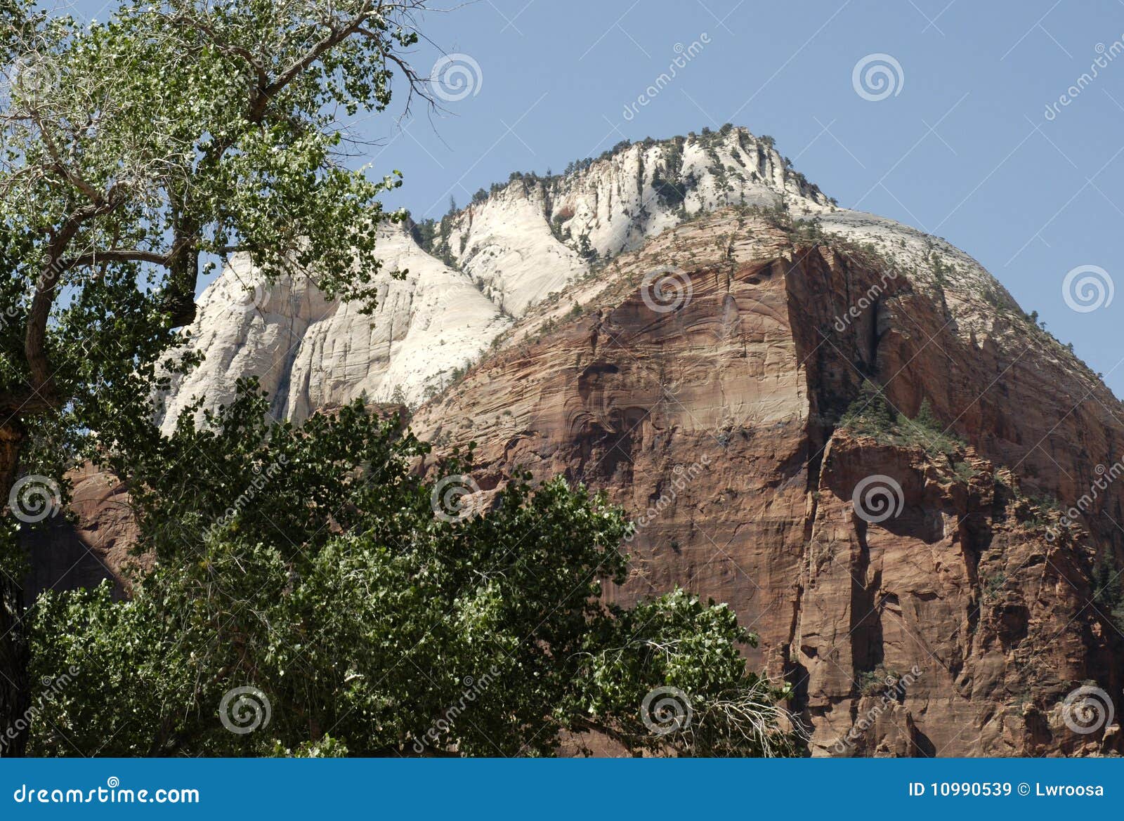 Zion Colors stock image. Image of canyon, utah, national - 10990539