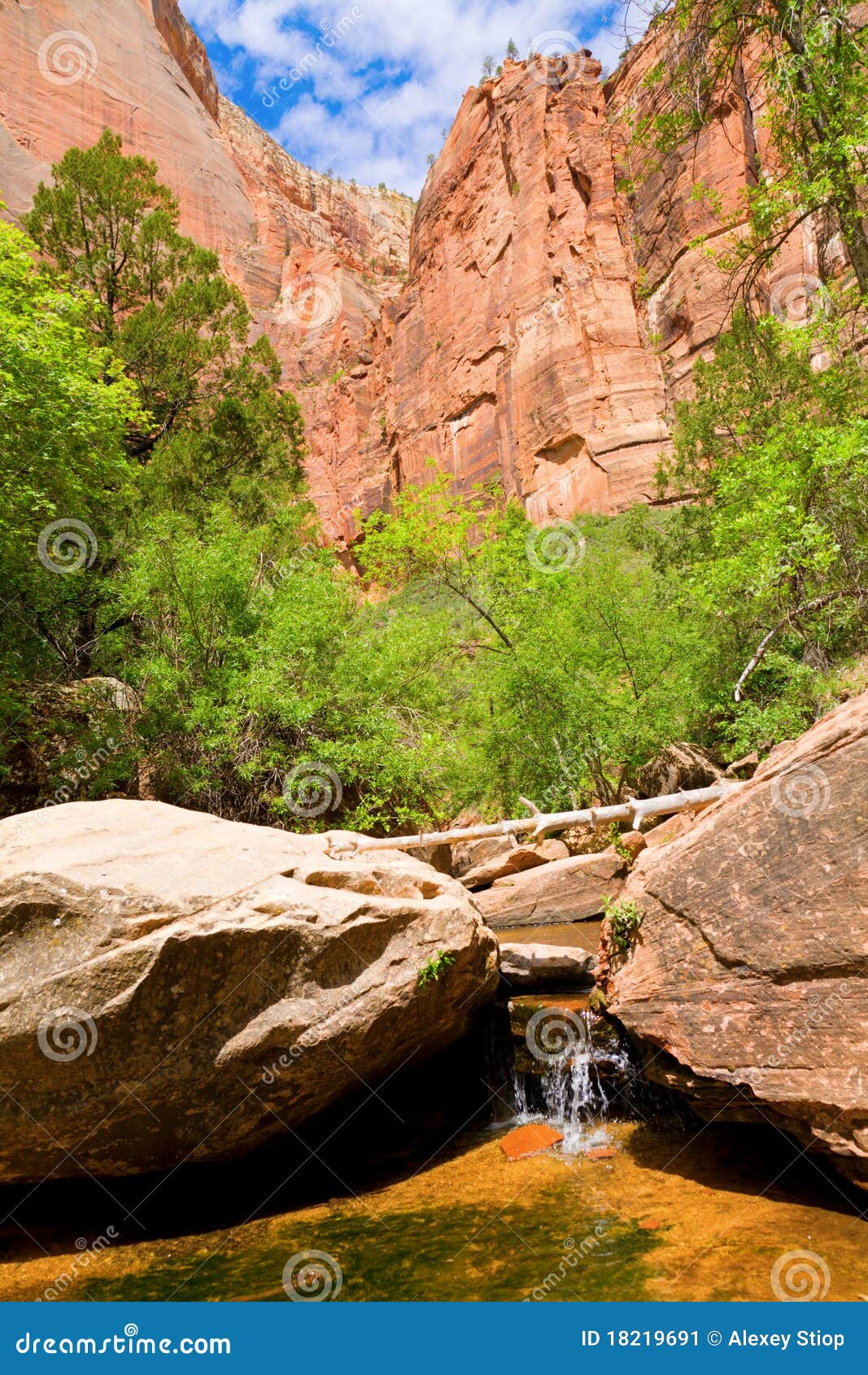 Zion creek stock image. Image of stream, flow, smooth - 18219691