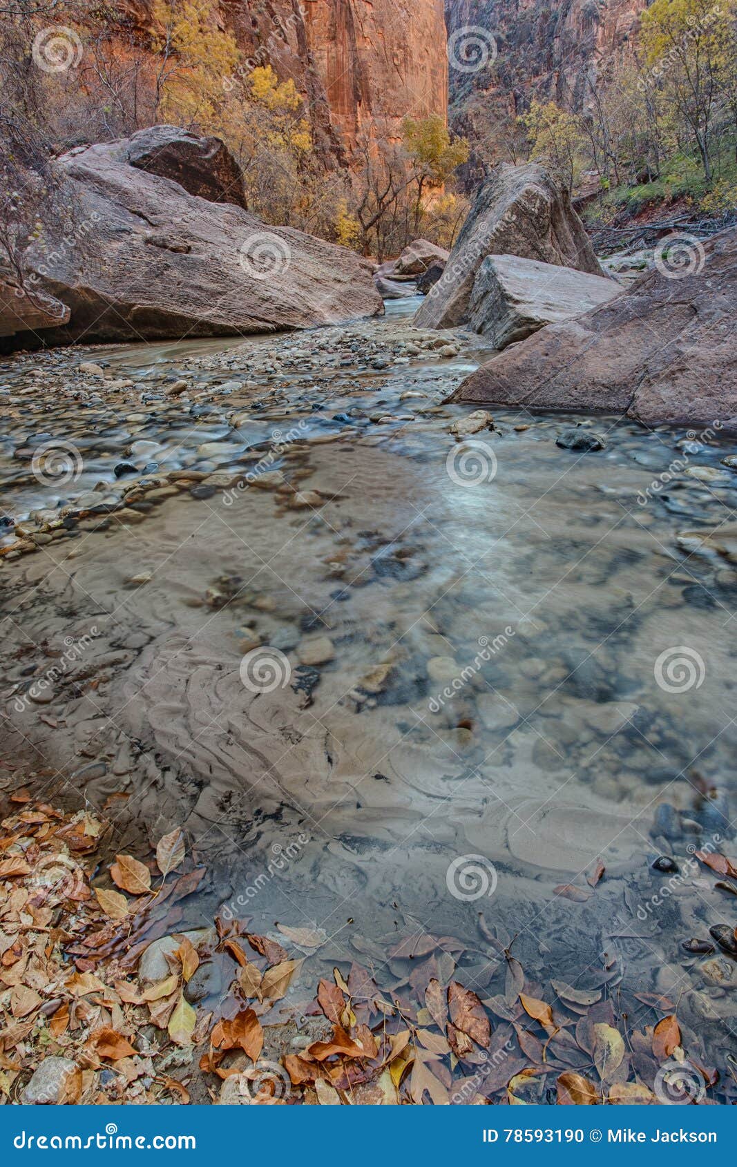 Zion Narrows stock photo. Image of beach, dark, egret - 78593190