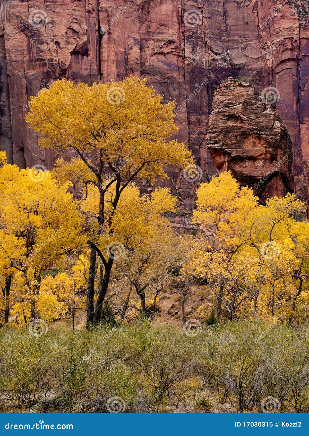 Zion National Park in Fall stock photo. Image of canyon - 17030316