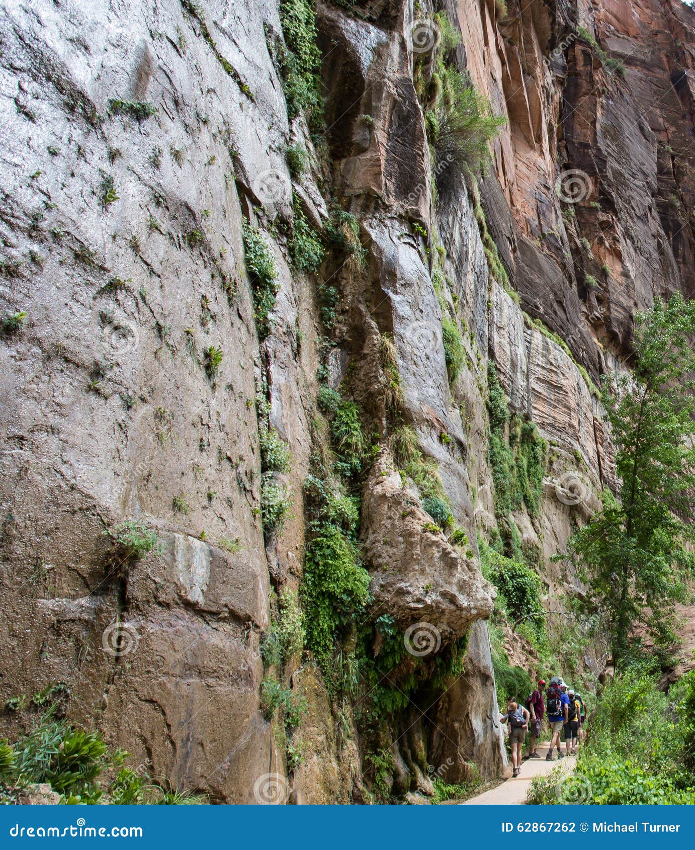 Zion National Park Narrows Trail Redaktionelles Stockfotografie - Bild ...