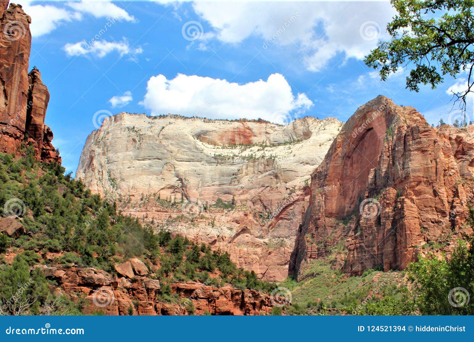 Zion National Park stock photo. Image of rock, zion - 124521394