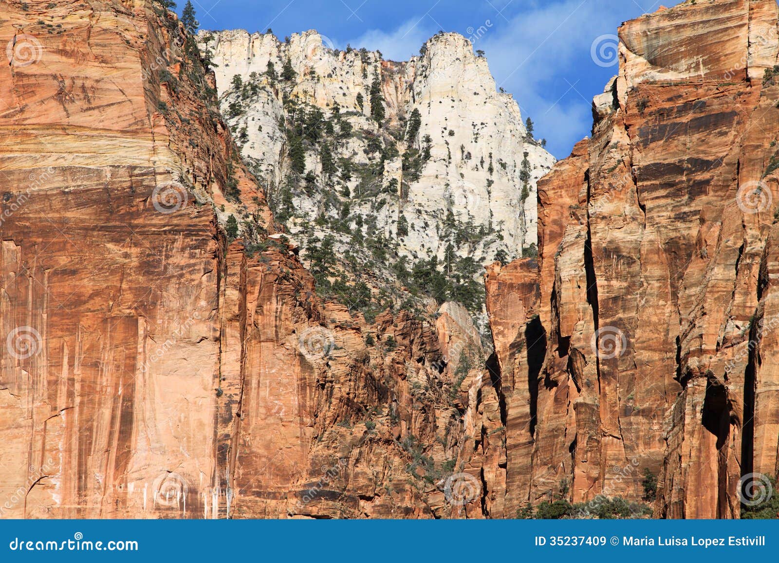 Zion National Park Rocky Mountain Stock Image - Image of tourist ...