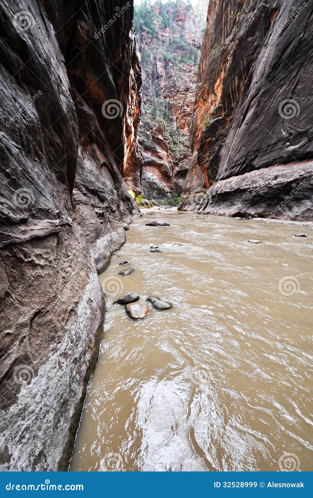 Zion National Park stock image. Image of road, gorge - 32528999