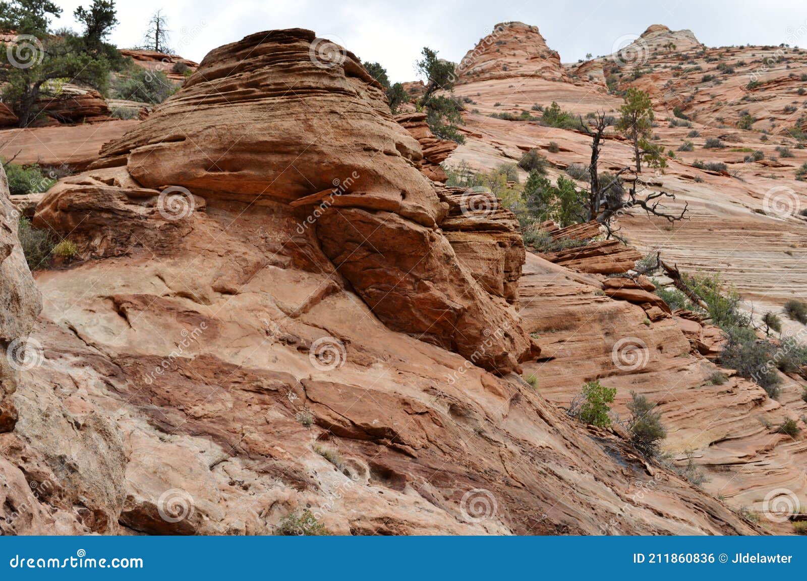 Beautiful Red Mountains in Zion National Park Utah Stock Photo - Image ...
