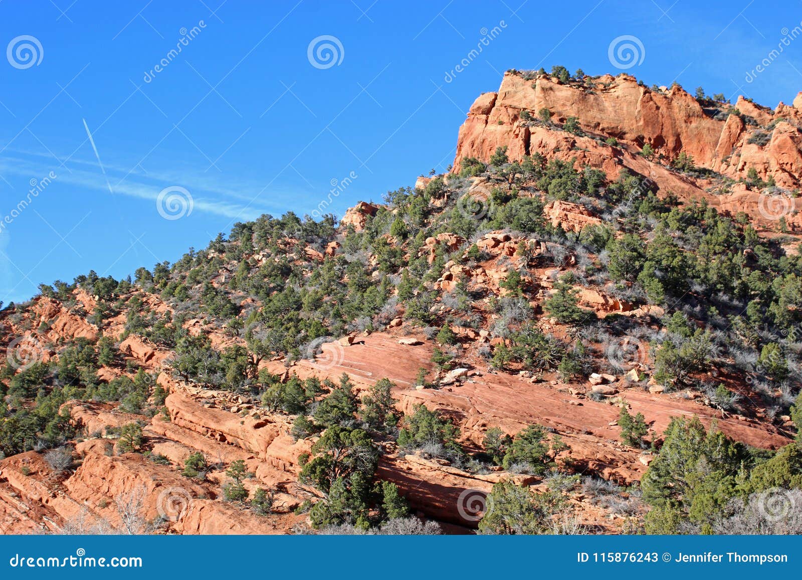 Zion National Park, Utah editorial stock photo. Image of park - 115876243
