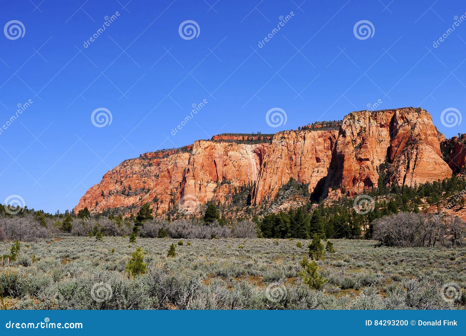 Zion National Park, Utah stock photo. Image of rocks - 84293200