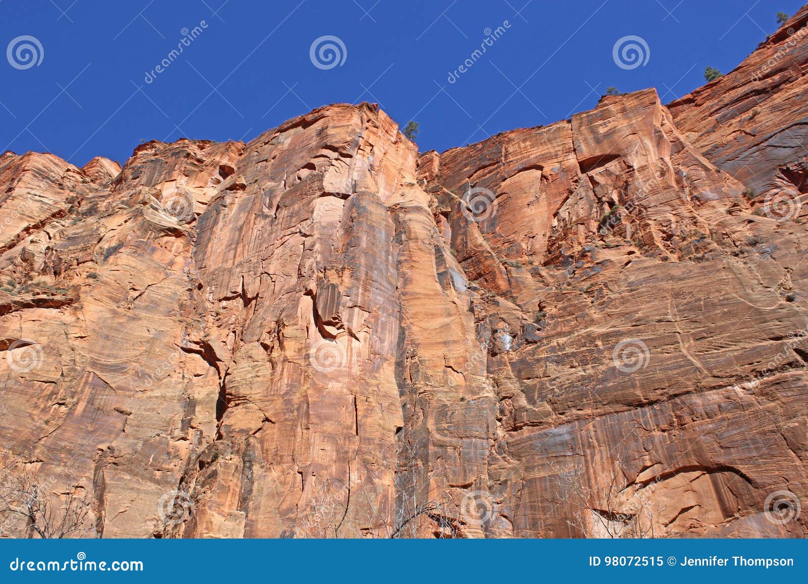Zion National Park, Utah stock image. Image of sedimentary - 98072515