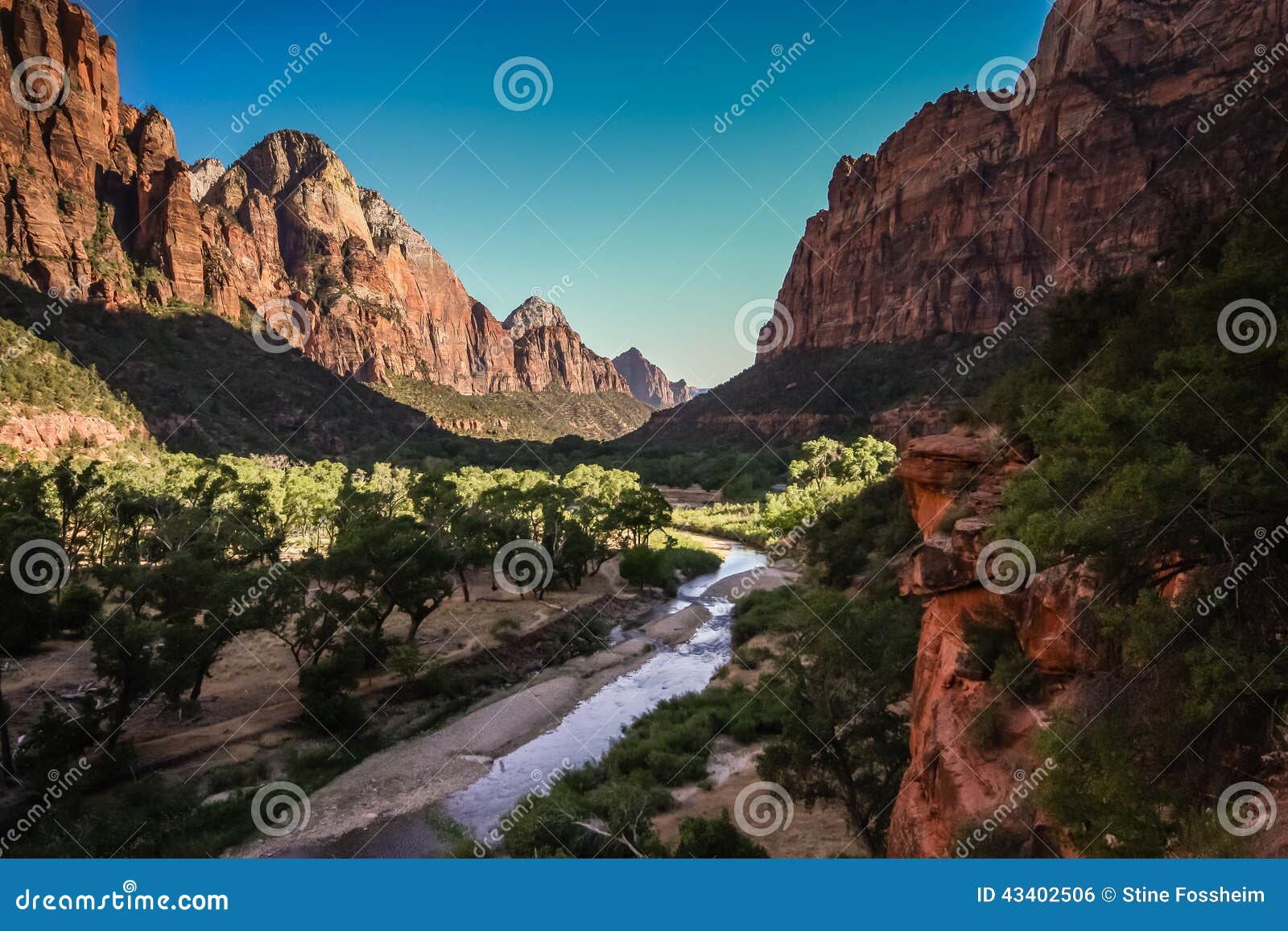 Zion National Park stock photo. Image of nature, forest - 43402506