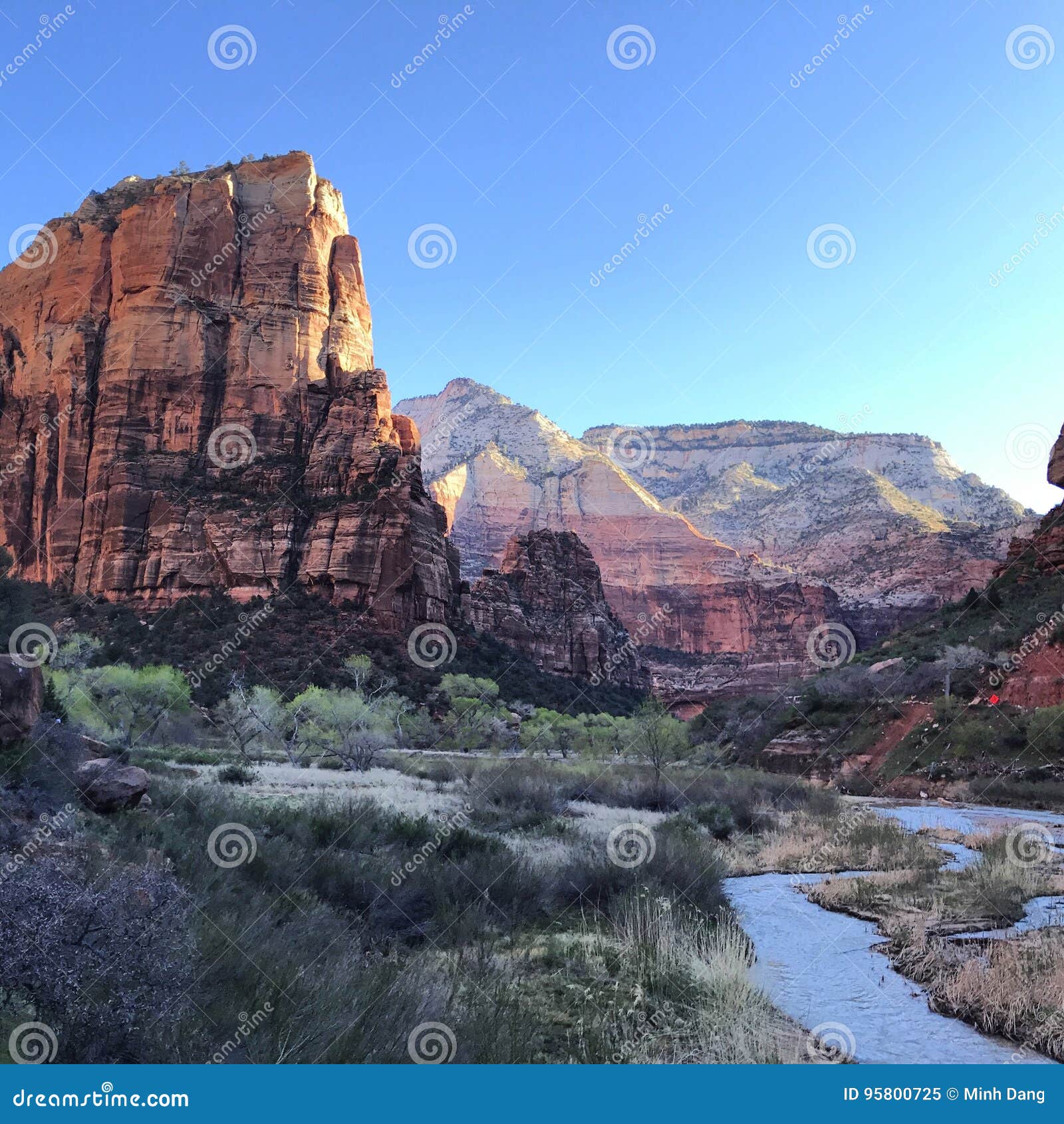 Zion National Park stock image. Image of park, valley - 95800725