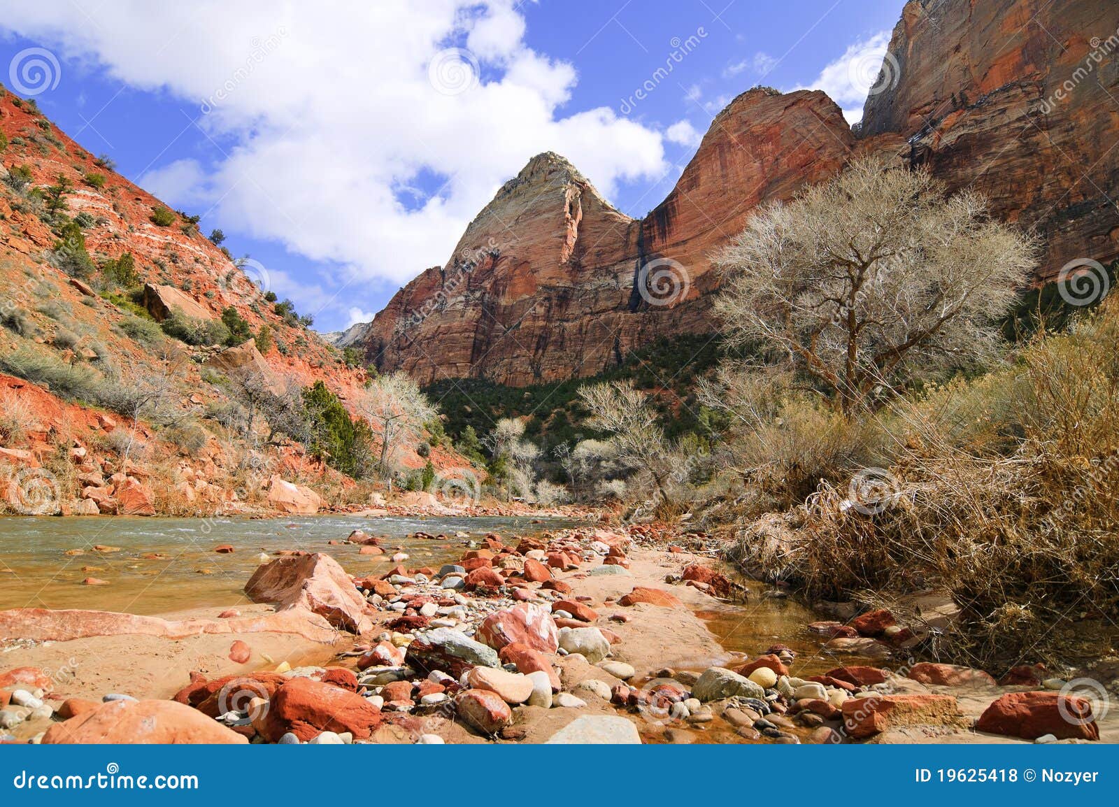 Zion National Park and the Virgin River in Spring Stock Photo - Image ...