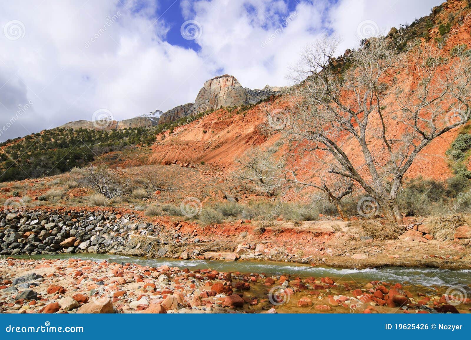 Zion National Park and the Virgin River in Spring Stock Photo - Image ...