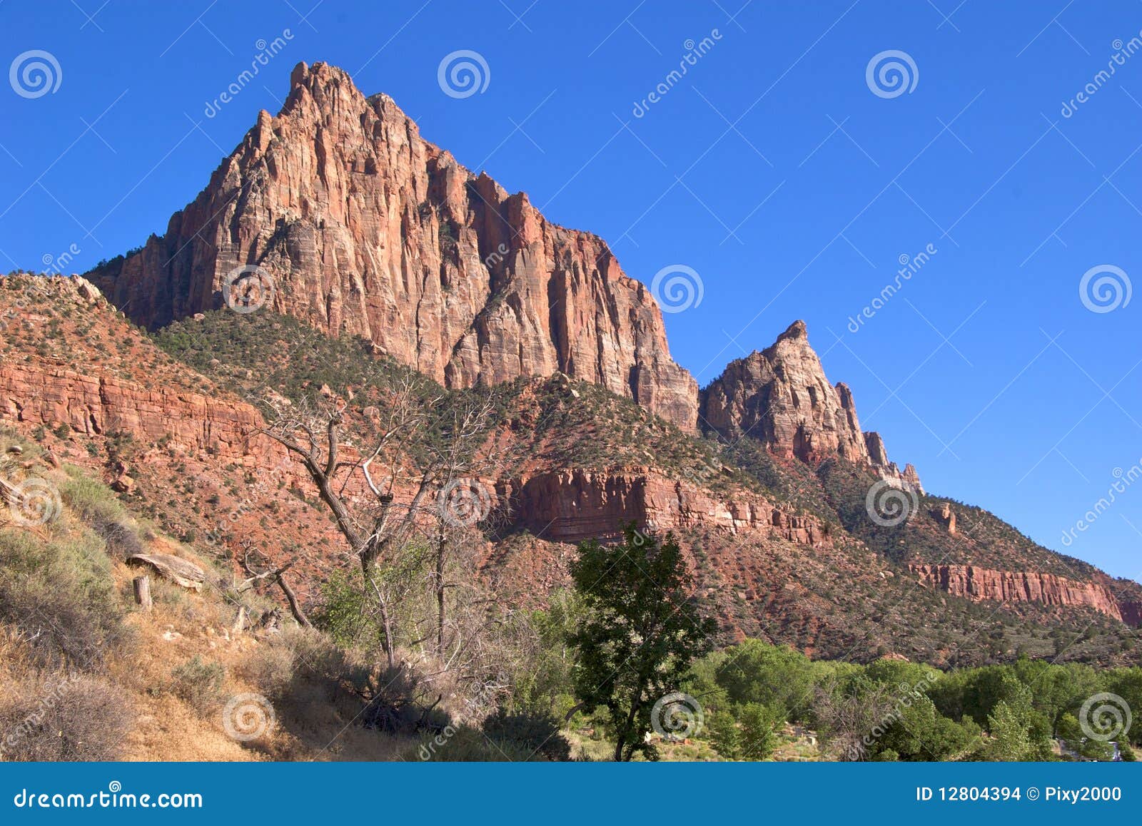 Zion NP stock photo. Image of geology, sediments, rock - 12804394