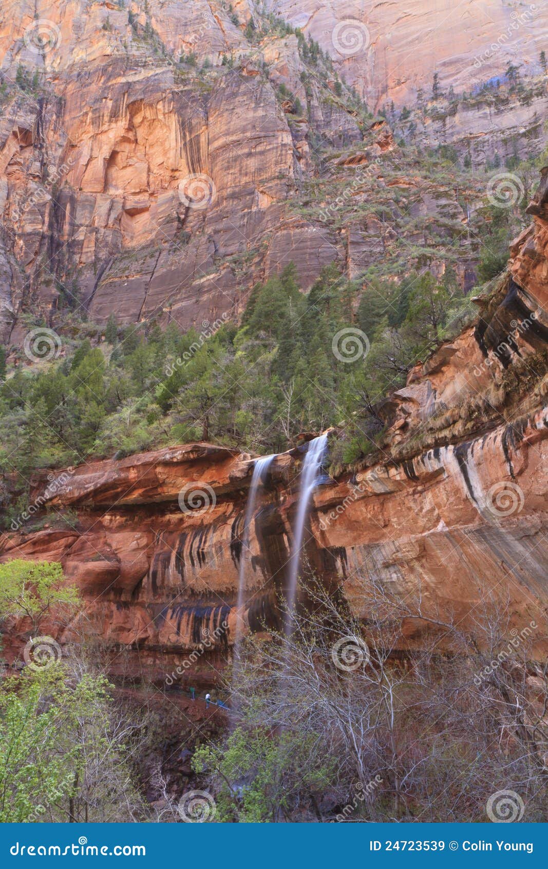 Zion Red Cliff Waterfalls stock image. Image of north - 24723539
