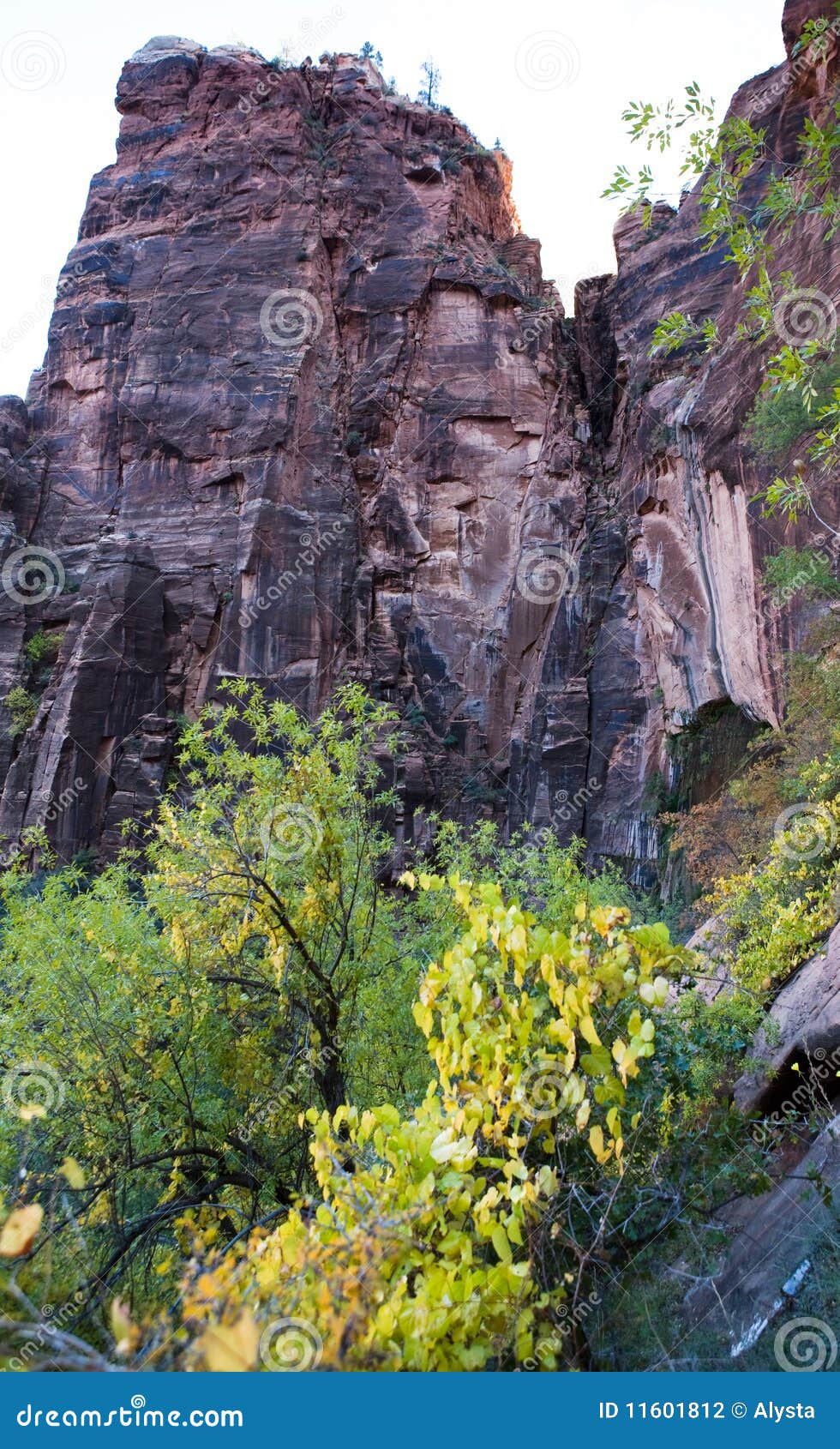 Zion Rock Formation and Trees Stock Photo - Image of zion, united: 11601812