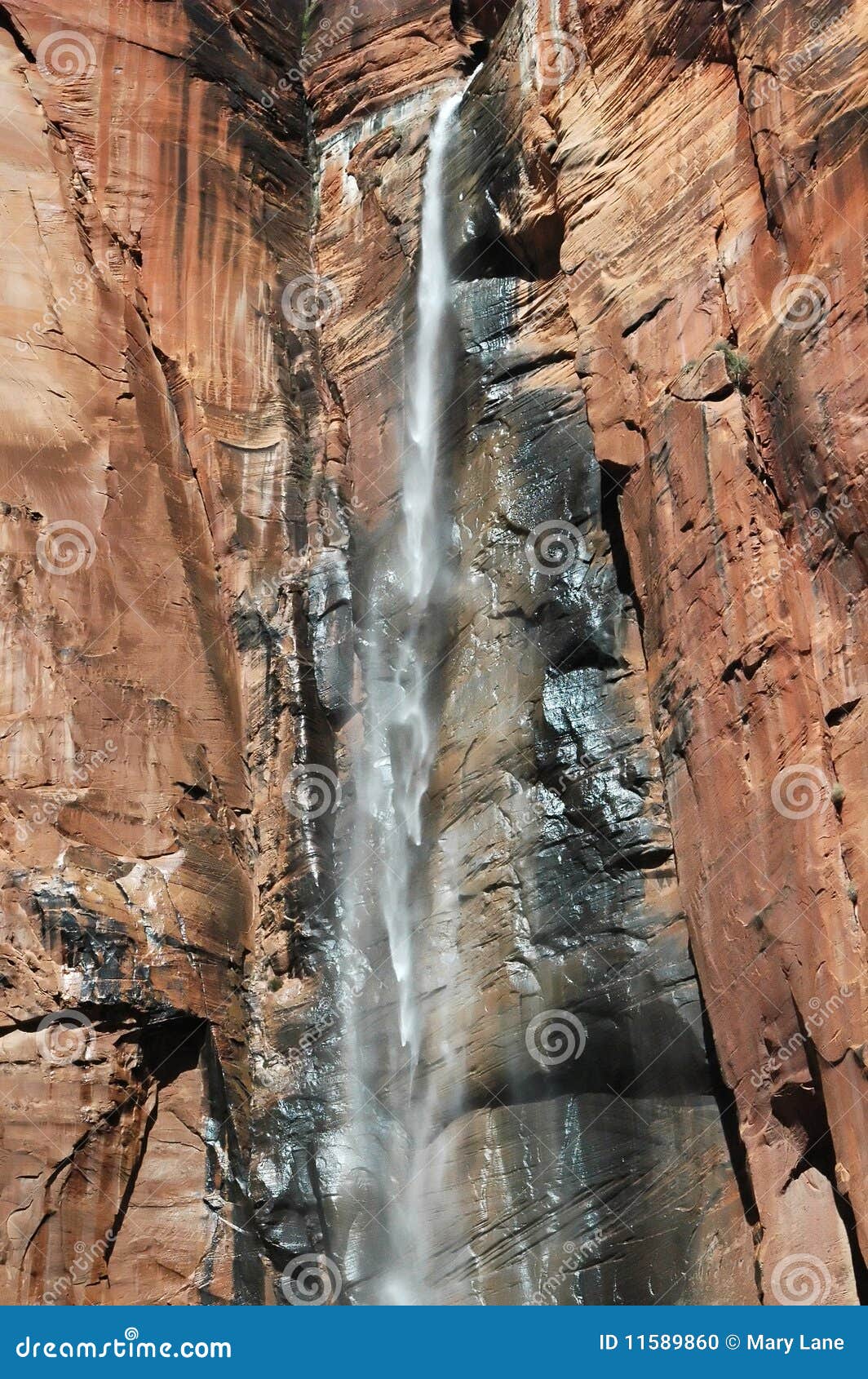 Zion Waterfall stock photo. Image of water, zion, national - 11589860