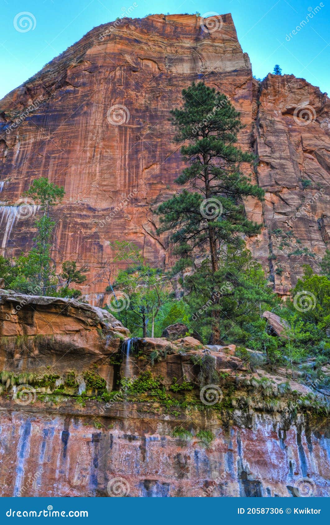 Zion Waterfall stock photo. Image of leaves, seasonal - 20587306