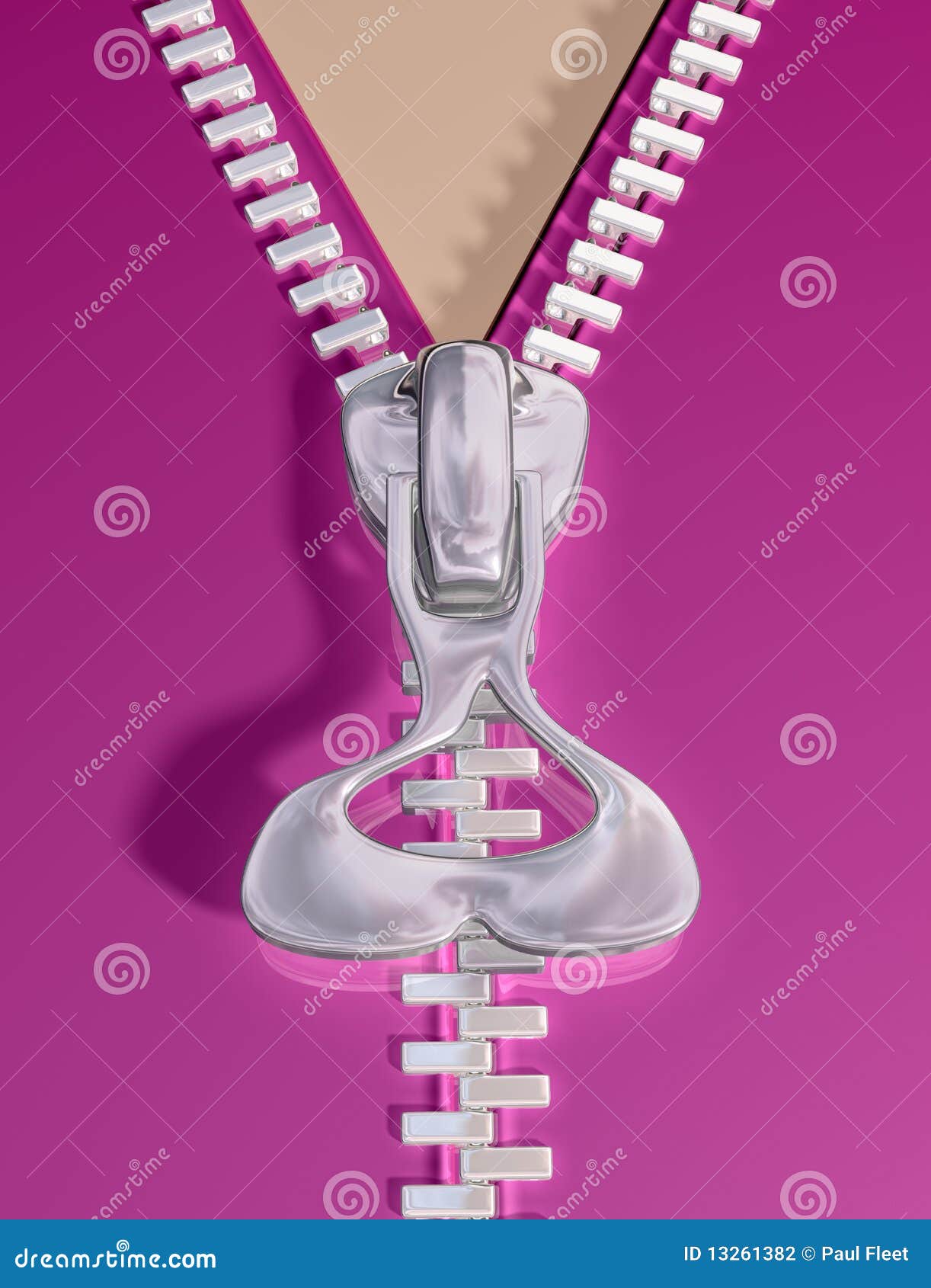 Zip stock illustration. Illustration of reveal, zipped - 13261382