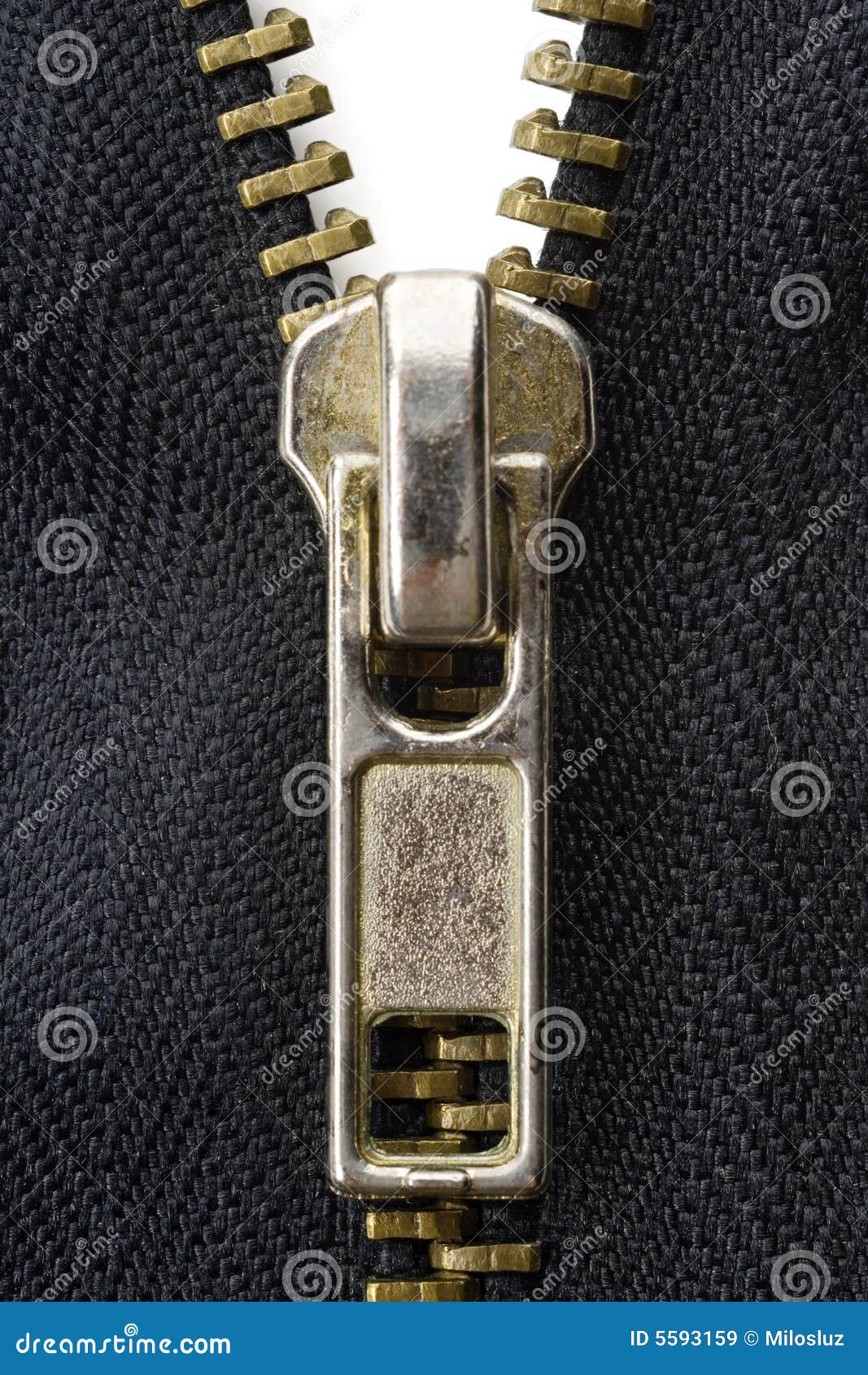 Zip stock image. Image of open, textile, garment, mechanism - 5593159