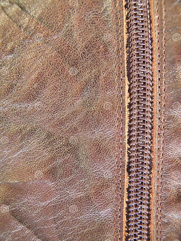 Zip and leather stock photo. Image of color, leather - 18001972
