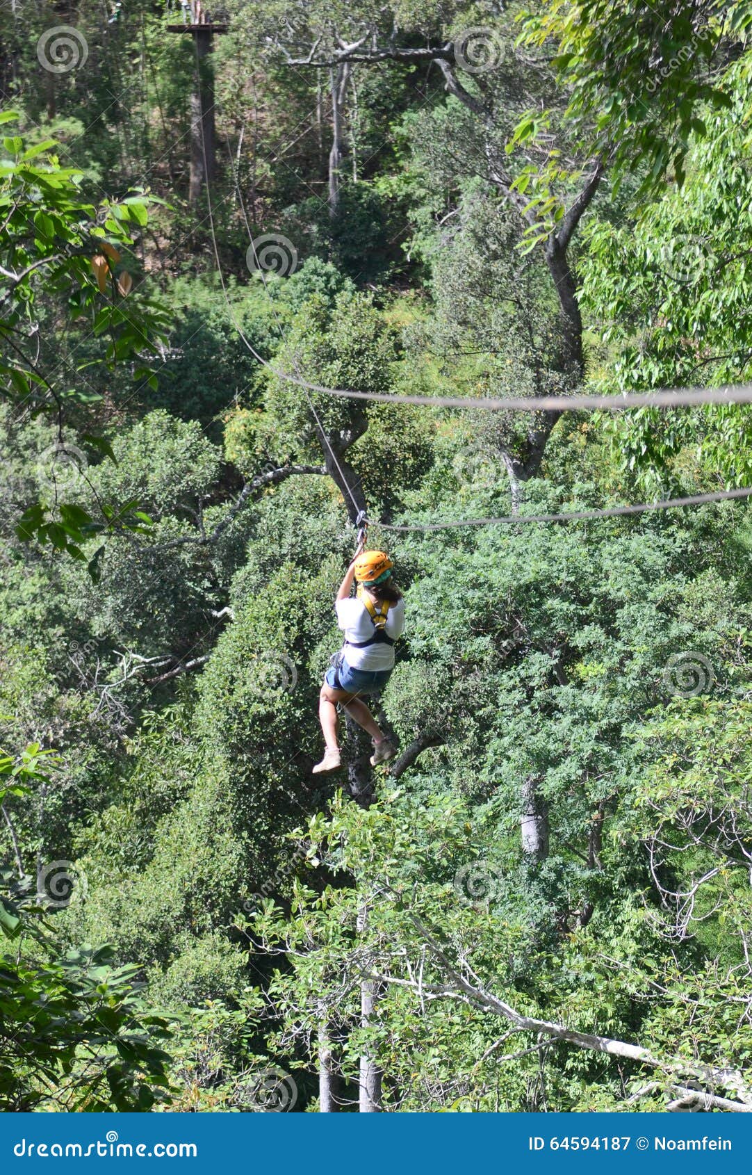Zip line editorial photography. Image of mountain, tourist - 64594187