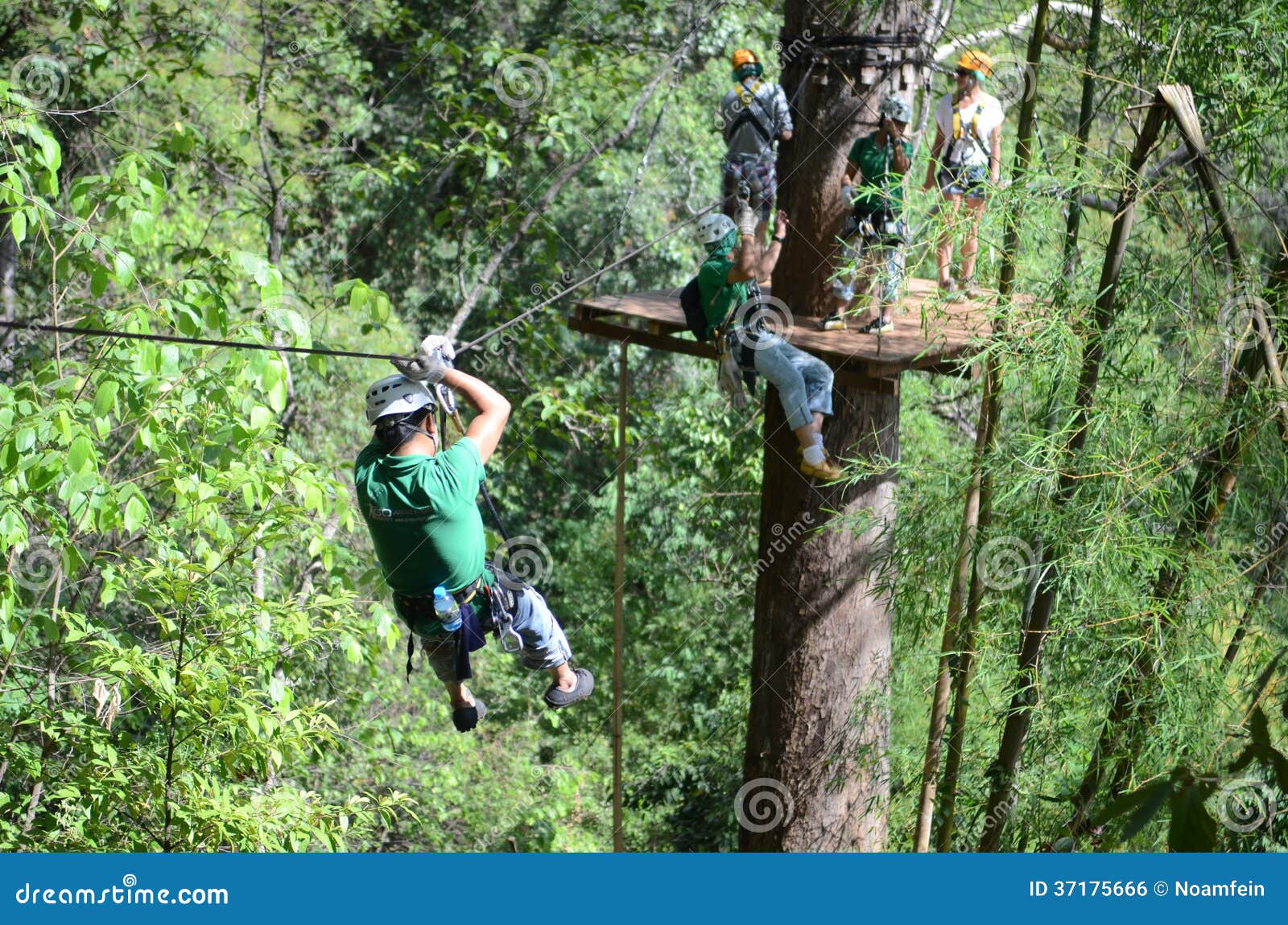 Zip line editorial photo. Image of active, rope, adrenaline - 37175666