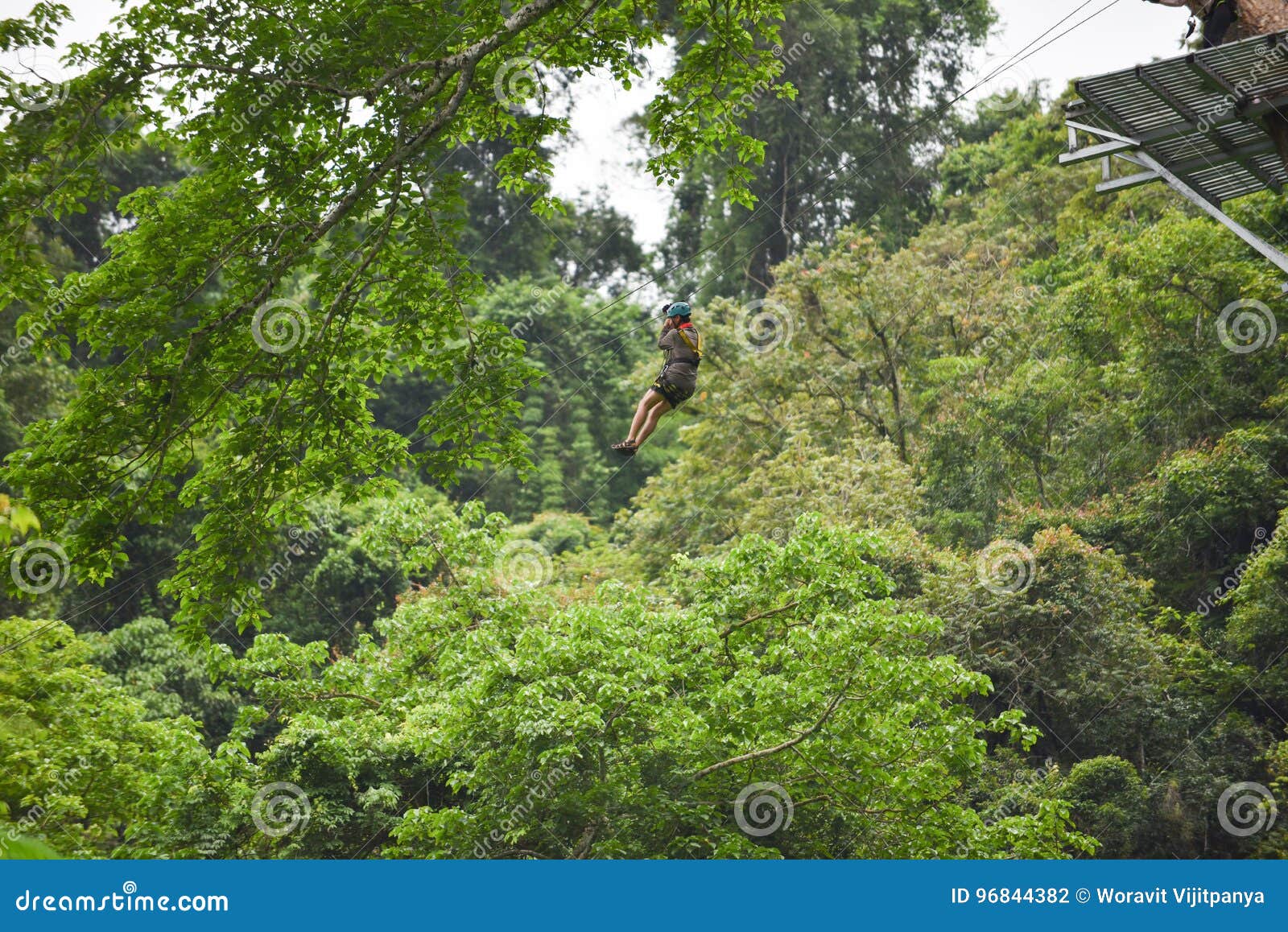 Zipline adventure on tree editorial photography. Image of excursion ...