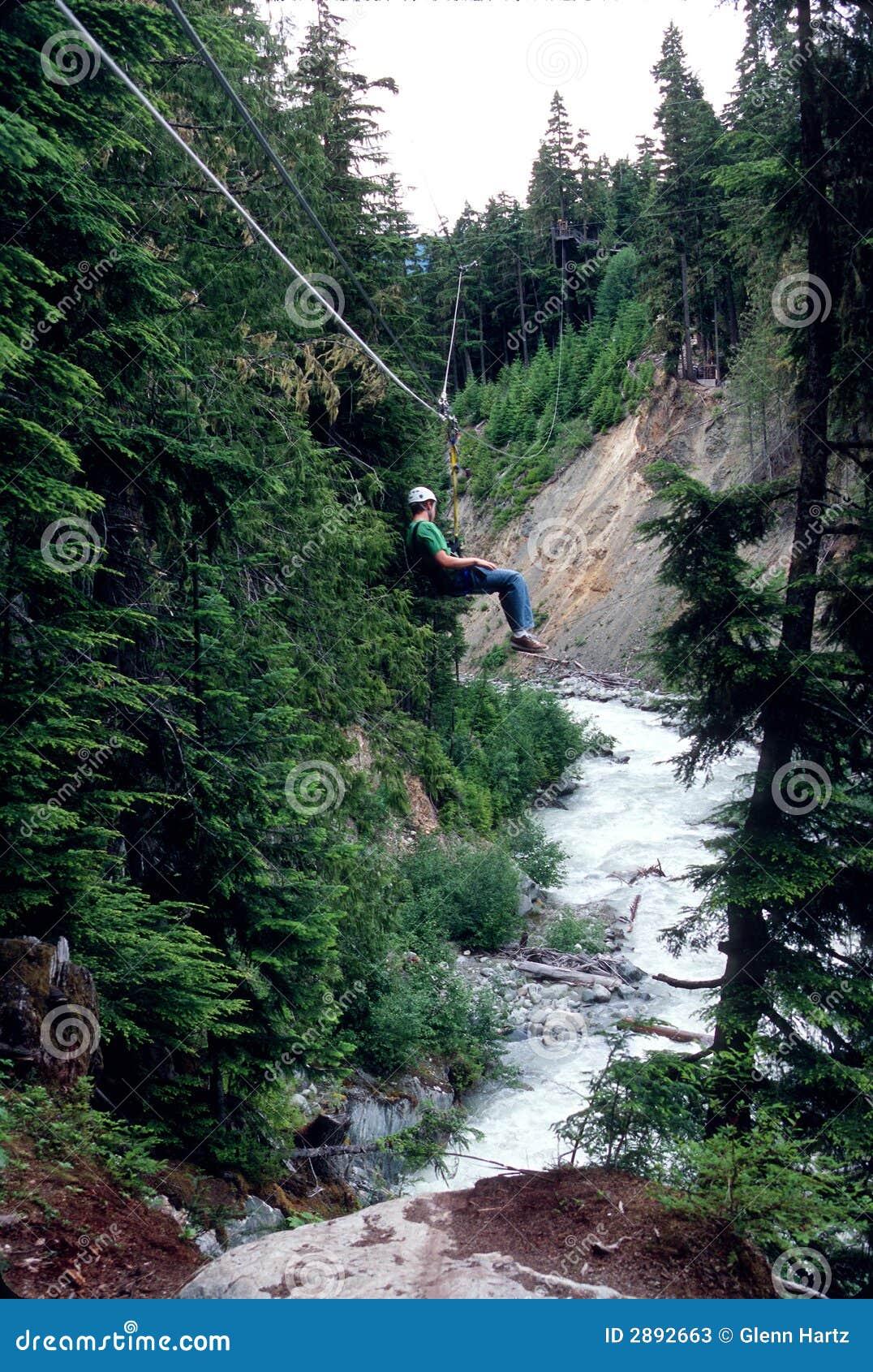 Ziplining, Montagne De Siffleur Image stock - Image du crique ...