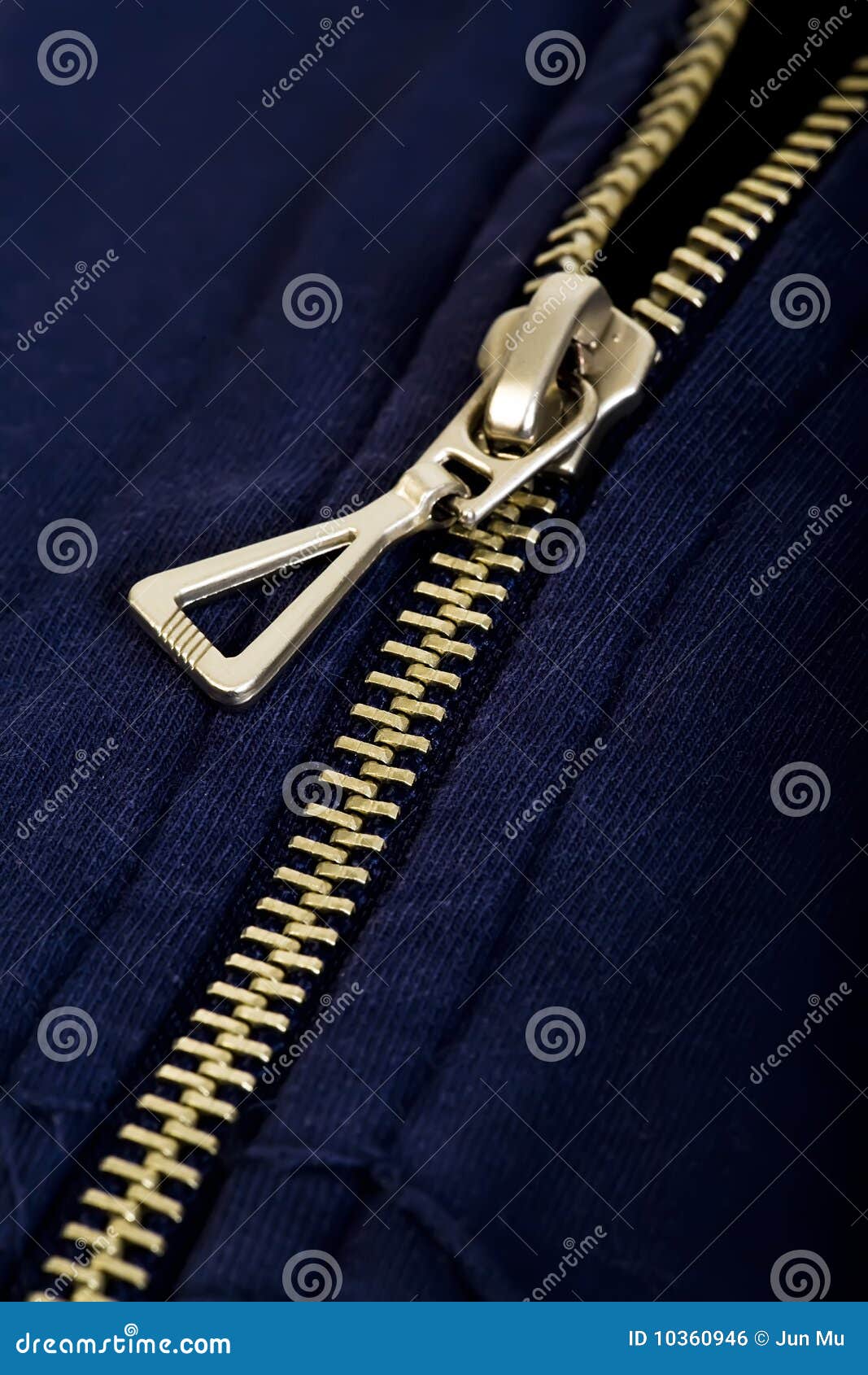 Zipper stock photo. Image of material, female, fabric - 10360946