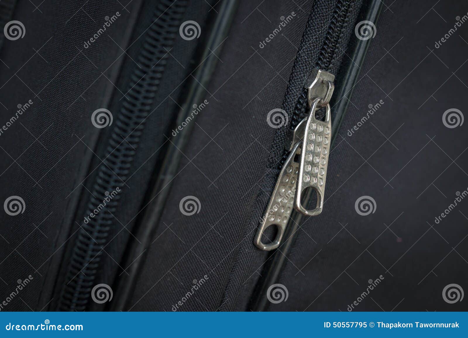 Zipper close-up stock image. Image of dress, clothes - 50557795