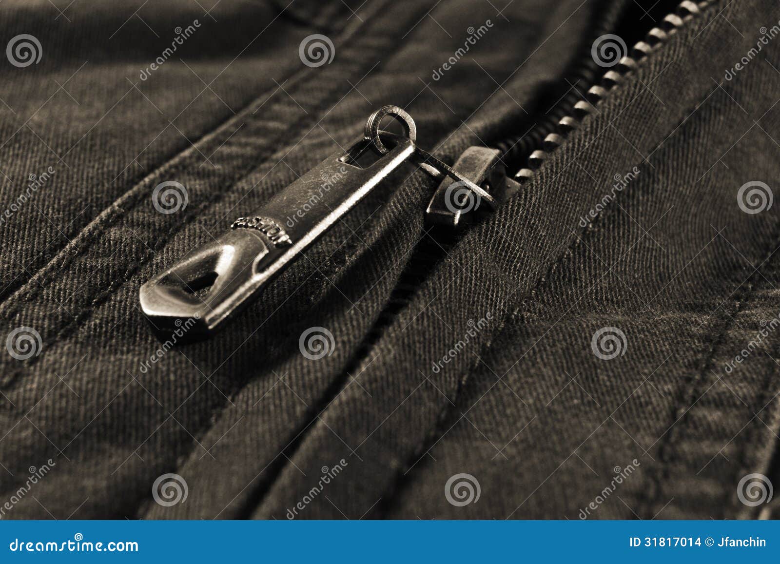 Zipper stock photo. Image of elegant, blazer, clothes - 31817014