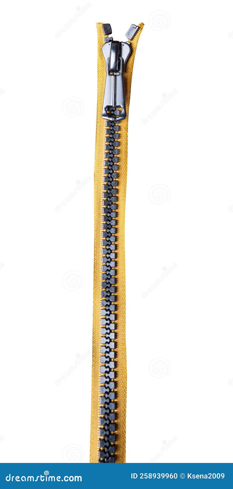 Zipper retention isolated stock photo. Image of thread - 258939960