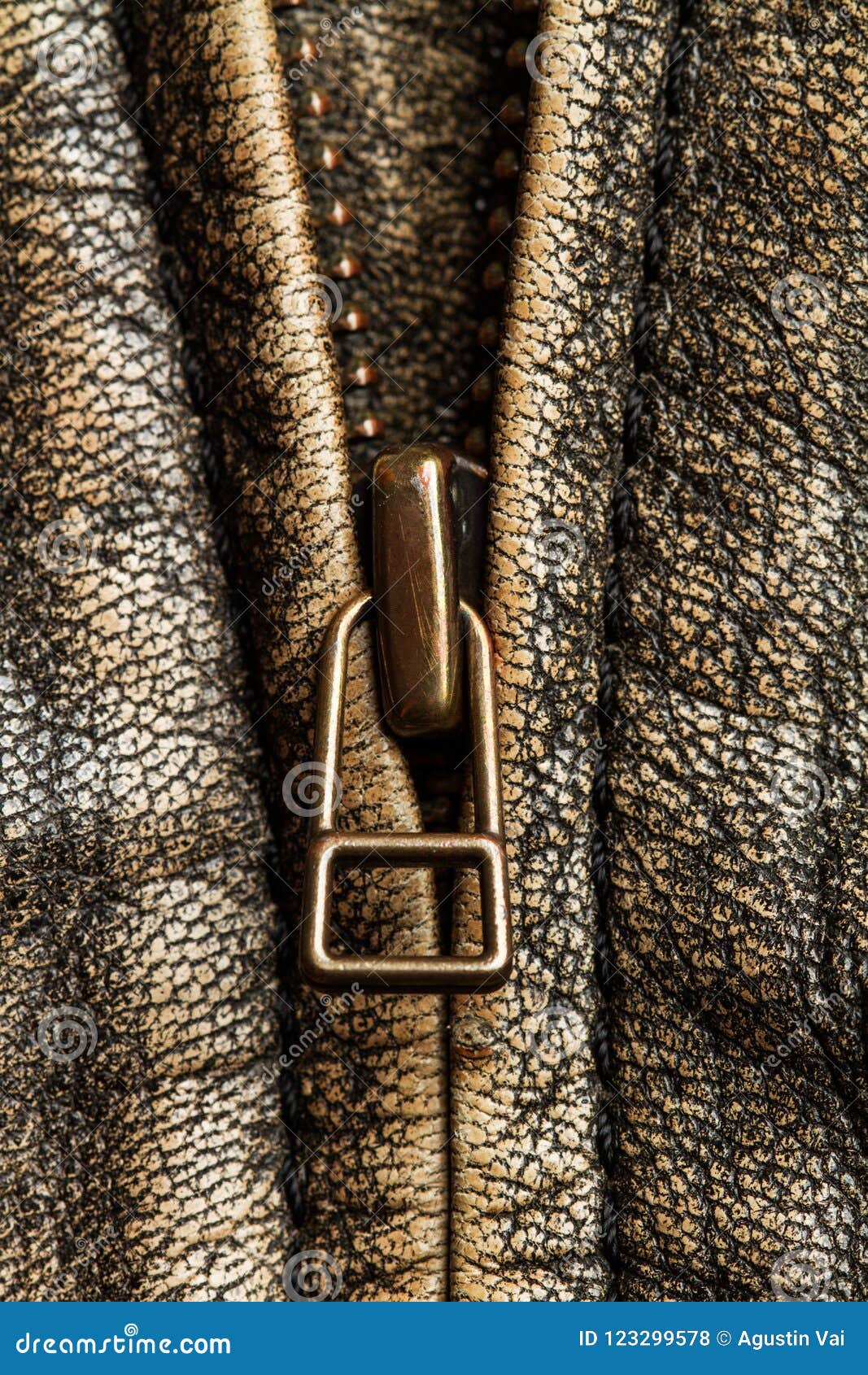 The zipper of a jacket stock photo. Image of brown, zipper - 123299578
