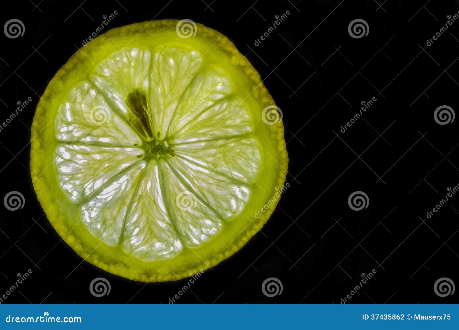 Zitronen-Scheibe stockfoto. Bild von fasern, borduhr - 37435862