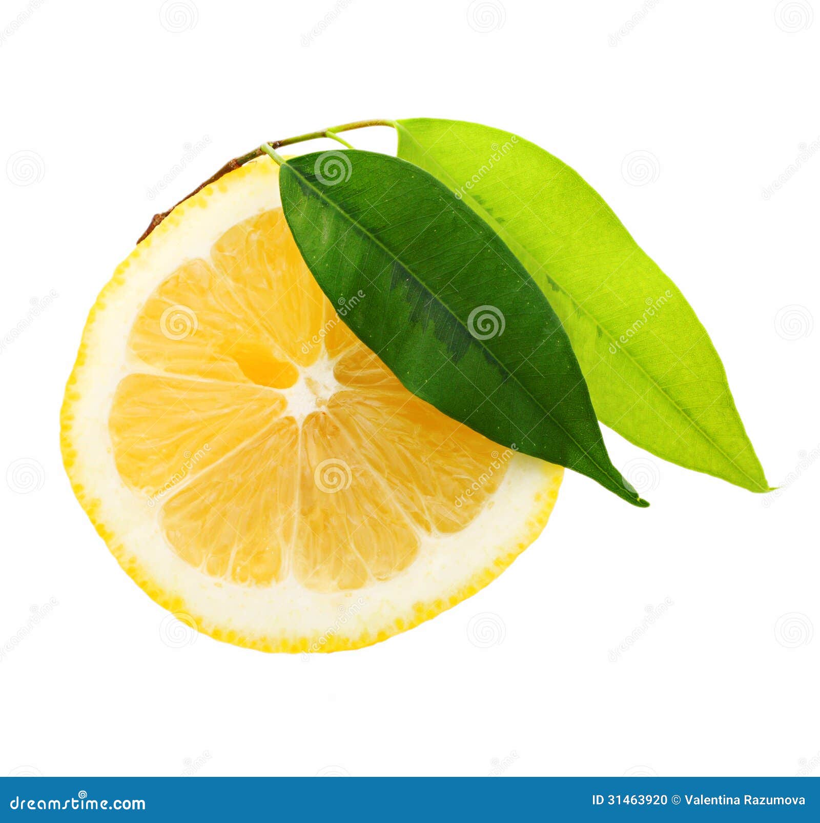 Zitronenscheibe Mit Grünem Blatt Stockfoto - Bild von reif, erneuern ...