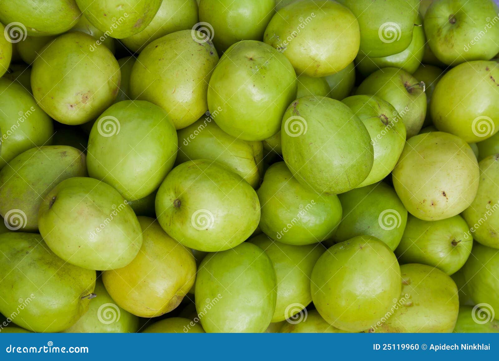 Ziziphus Mauritiana Fruit (Masau) Stock Image | CartoonDealer.com #39963793