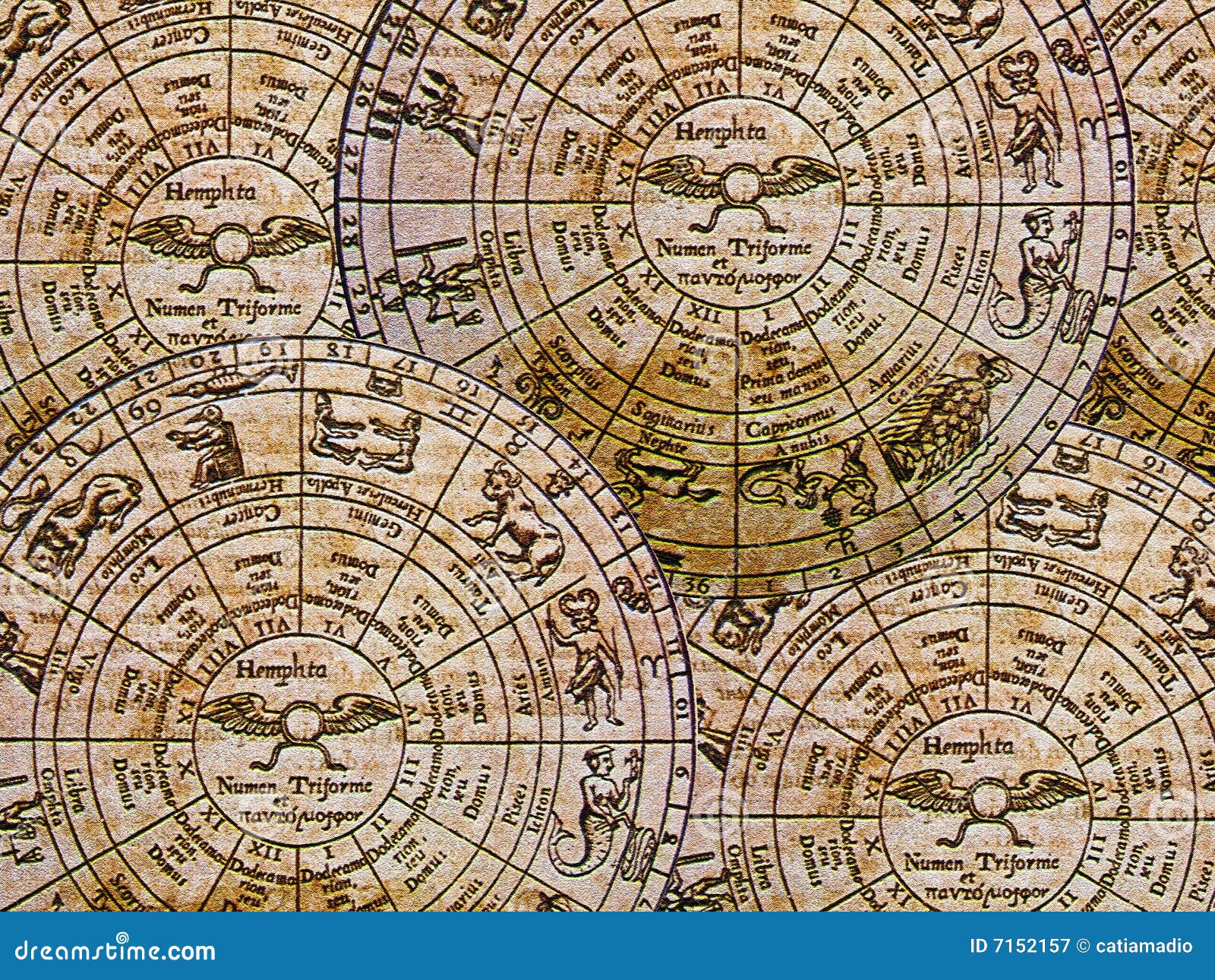 Ancient Zodiac Stock Photography | CartoonDealer.com #10941212