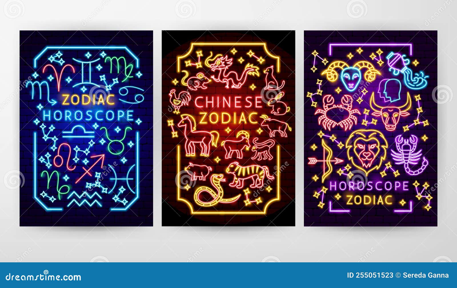 Zodiac Flyer Concepts stock vector. Illustration of pisces - 255051523