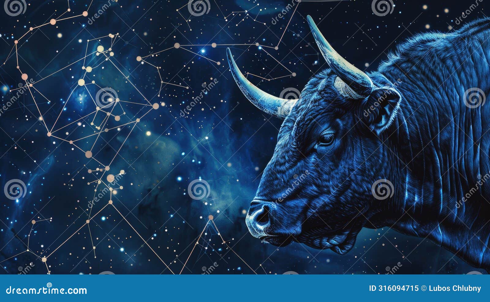 Zodiac Sign in the Sign of the Bull with a Starry Sky Stock ...