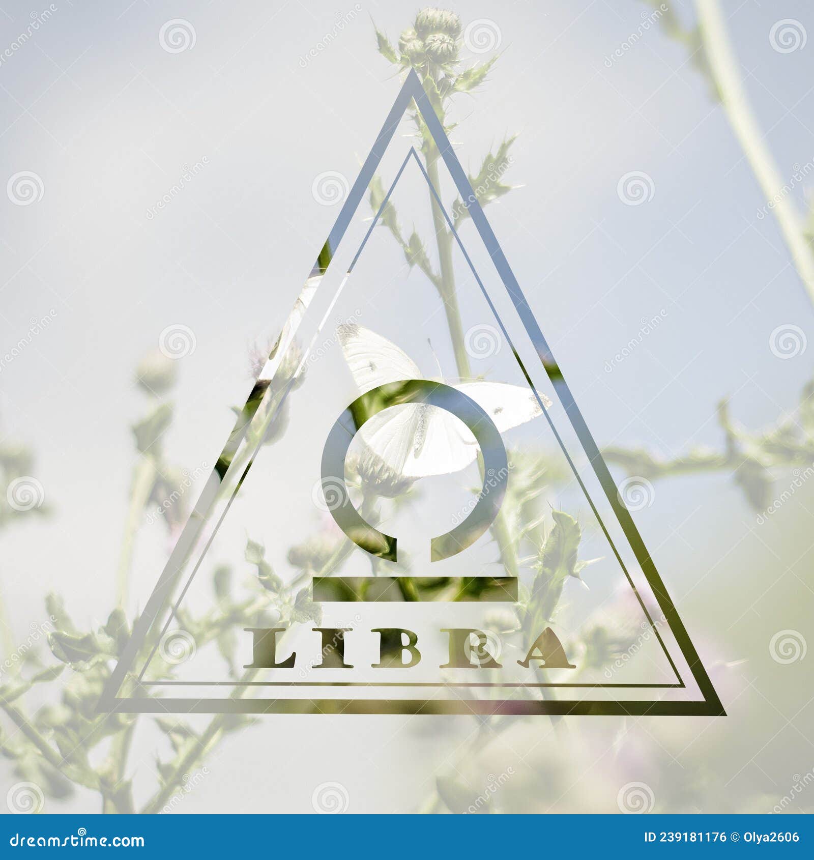 Zodiac Sign Leo in a Triangle, the Element of Fire in the Horoscope ...