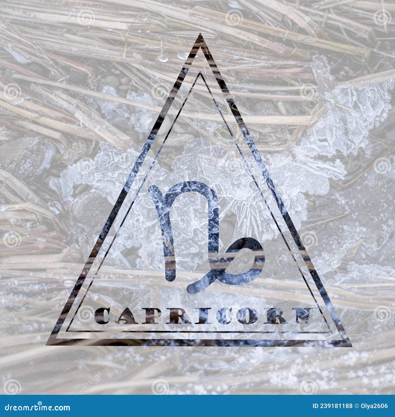 Zodiac Sign Leo in a Triangle, the Element of Fire in the Horoscope ...