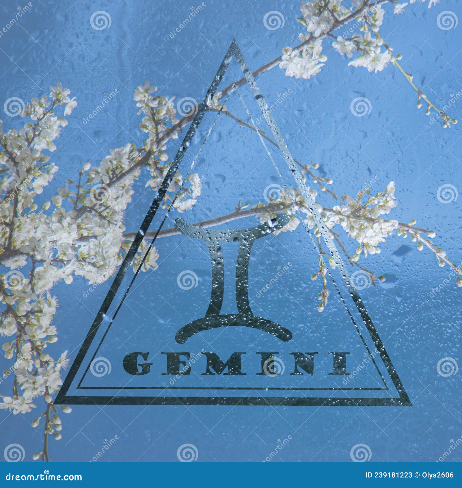 Zodiac Sign Leo in a Triangle, the Element of Fire in the Horoscope ...