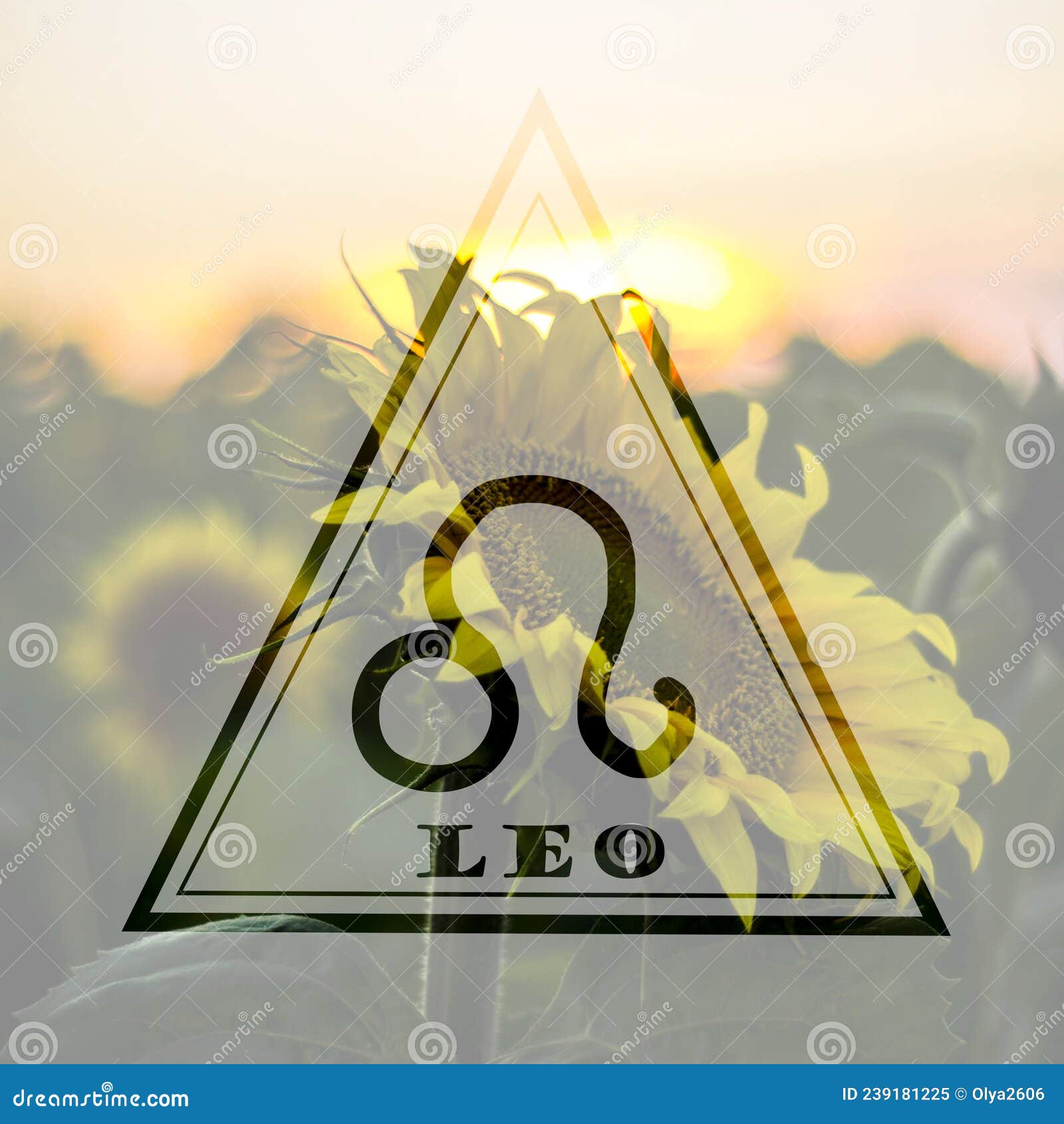Zodiac Sign Leo in a Triangle, the Element of Fire in the Horoscope ...